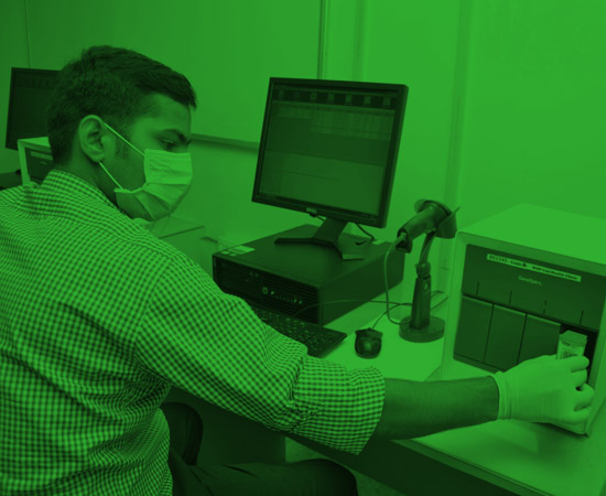 World Health Partners